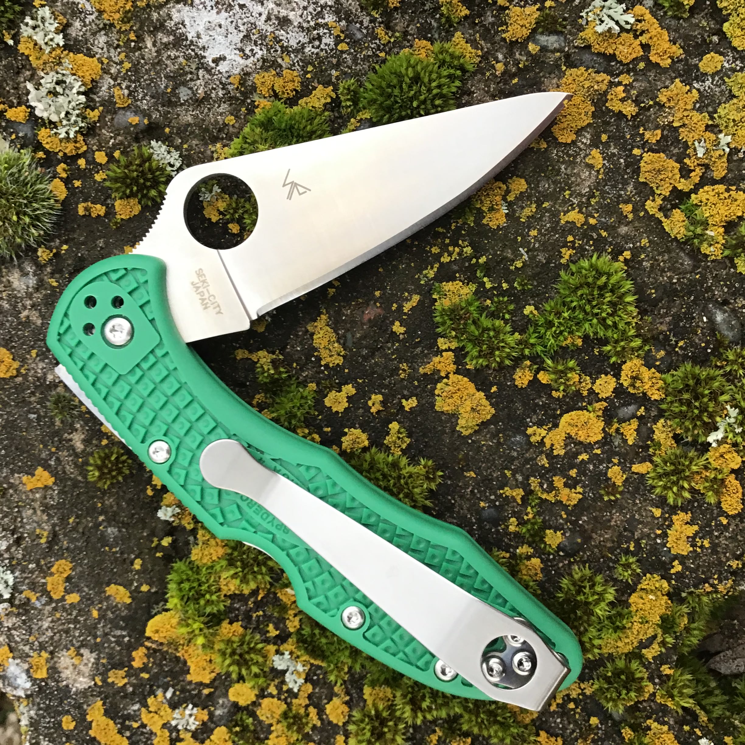 Spyderco Delica 4 Green FRN VG-10 Blade (C11FPGR) Deep Carry Titanium Clip